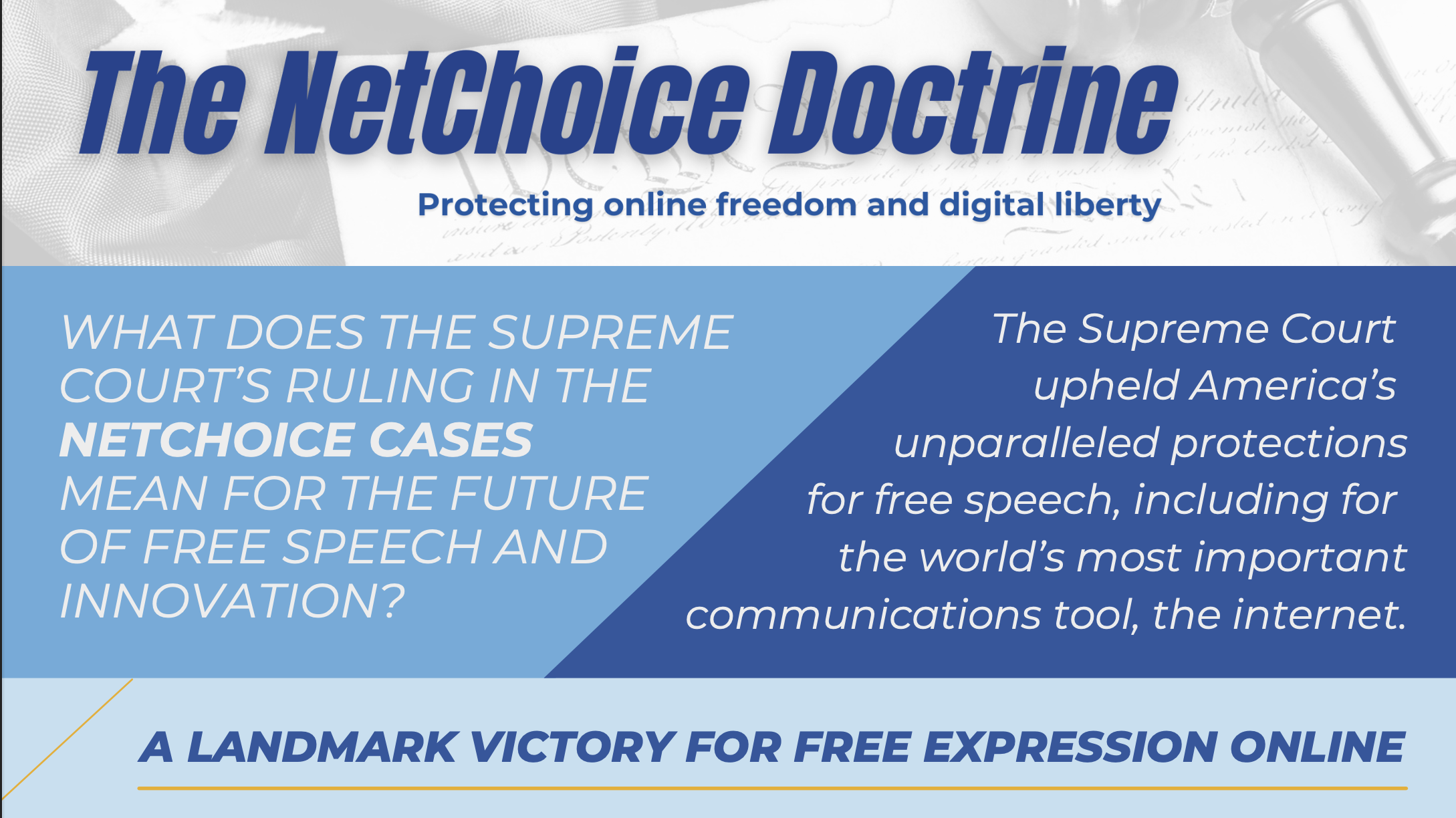 The NetChoice Doctrine: Protecting Online Freedom and Digital Liberty ...