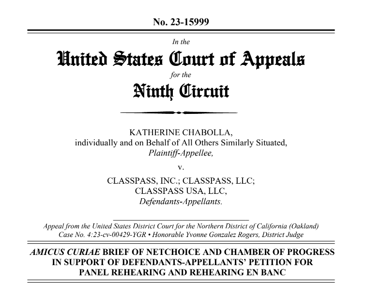 NetChoice Amicus Brief Supporting ClassPass’ Petition for Rehearing En ...