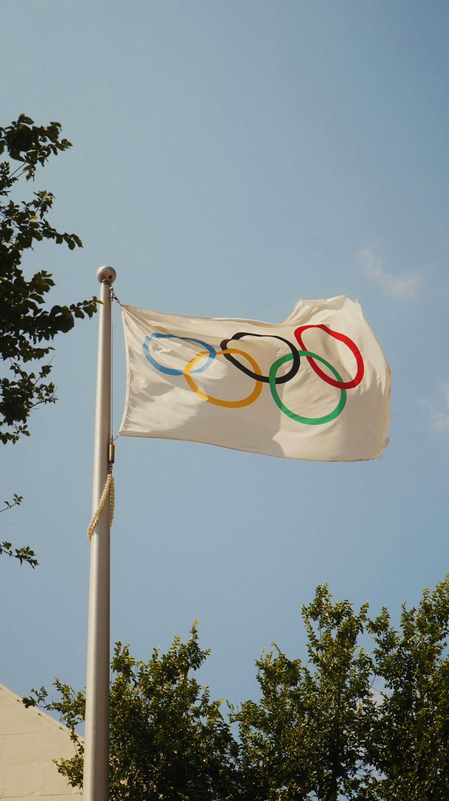 Retailers Go for Gold: How Brands Capitalize on the 2026 Winter ...